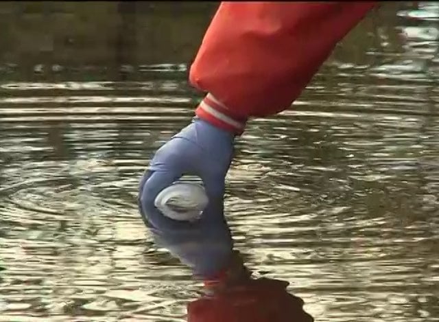 Illicit stormwater connections on Vimeo