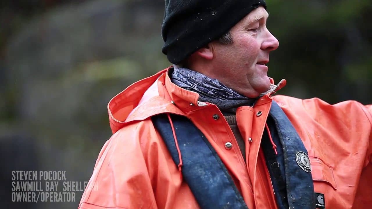 Sawmill Bay Oysters on Vimeo