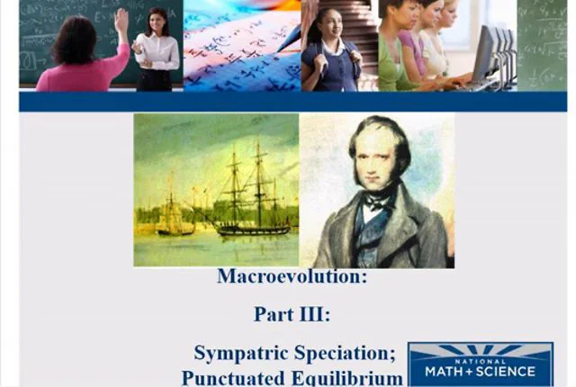 Ap Biology Macroevolution Part Iii Sympatric Speciation And Punctuated Equilibrium In Ap