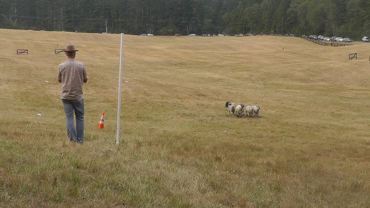 Patrick & Riggs - 2012 Vashon Classic SDT on Vimeo