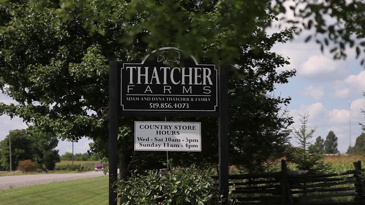 Thatcher Farms on Vimeo