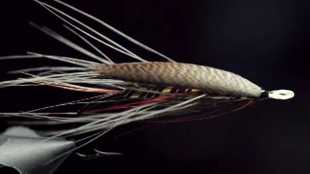 How to tie a Lady Caroline Spey Salmon fly on Vimeo