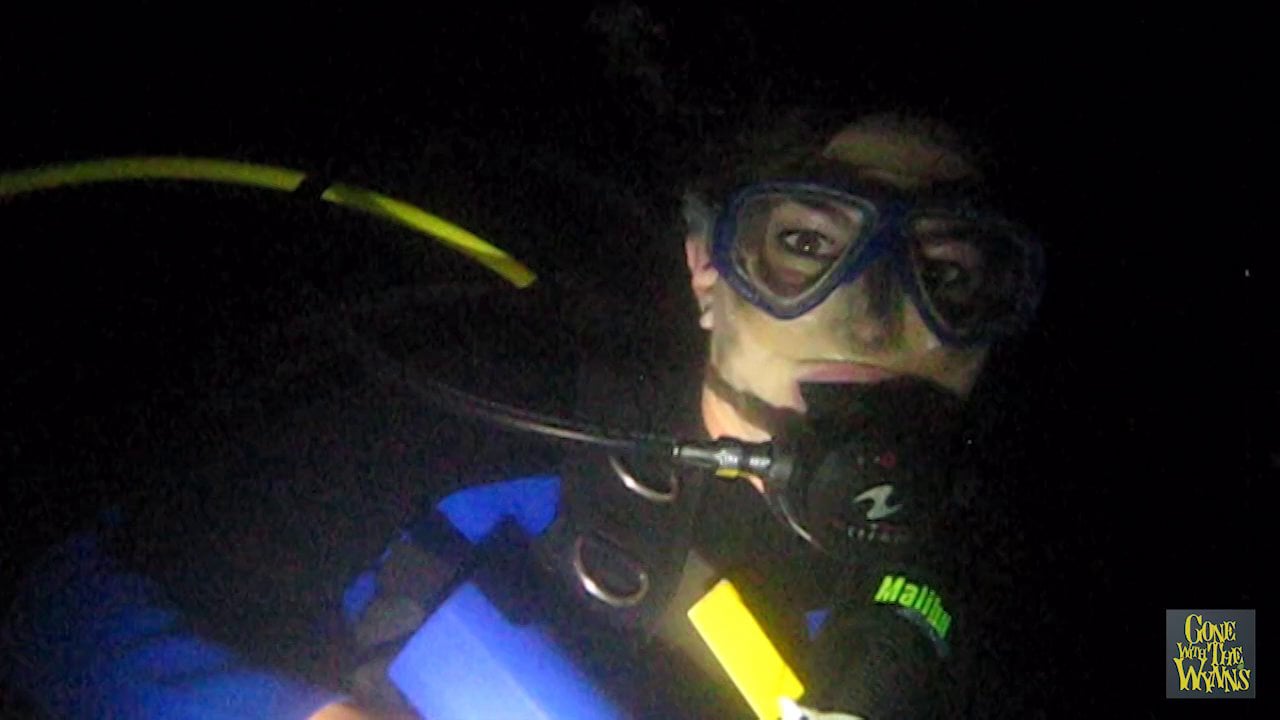 Desert Night Dive in AZ on Vimeo