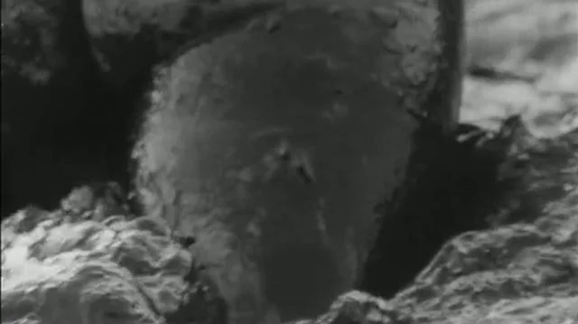 Element in Best of NOS on Vimeo