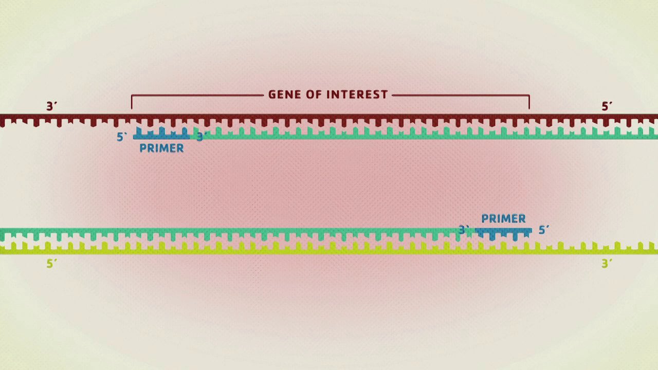 Testing techniques on Vimeo