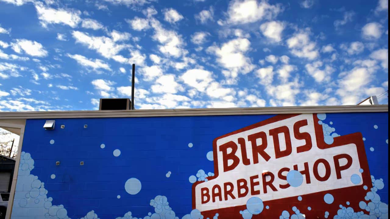 Liberty Mutual- Birds-Tyler Manson on Vimeo