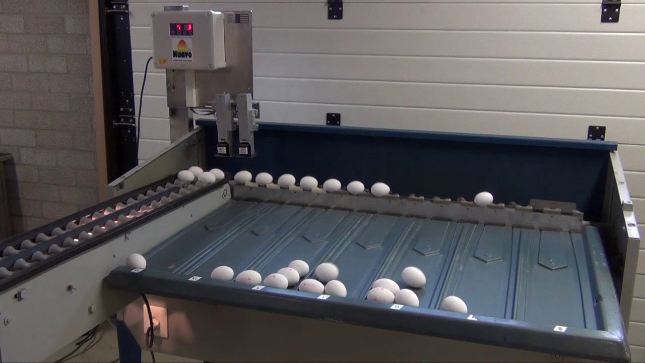 Nuovo Egg Printer - Egg-Jet SOR2-50 on infeed Moba 68 on Vimeo