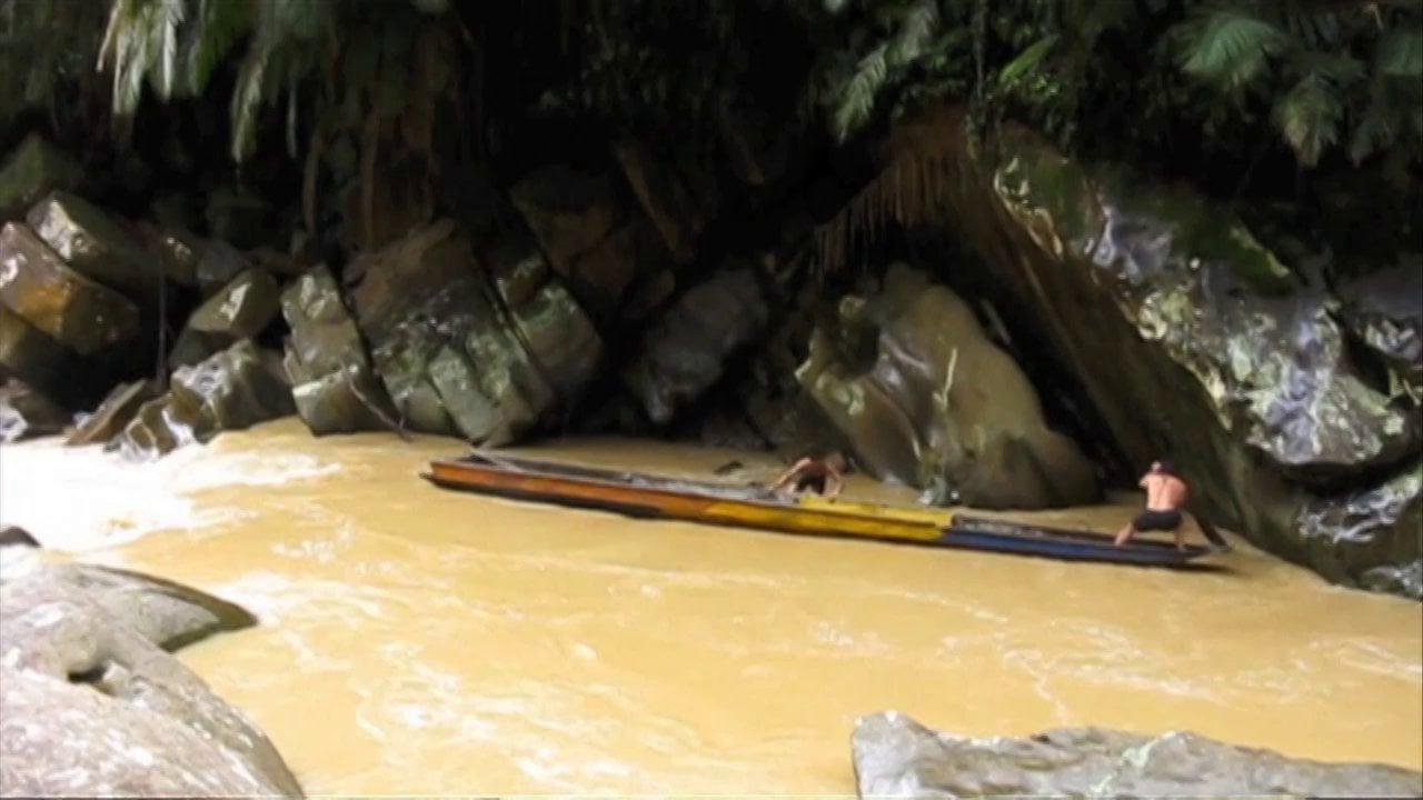 Talks on Art : Layla Curtis - Walking with the Penan