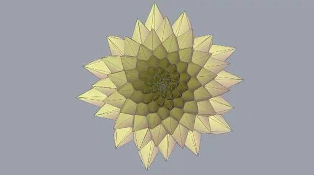 Phyllotaxis on Vimeo