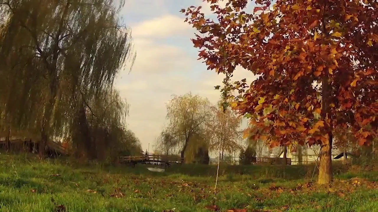 Autumn day with GoPro on Vimeo