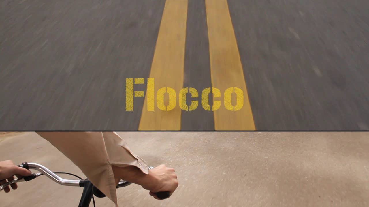 Flocco on Vimeo