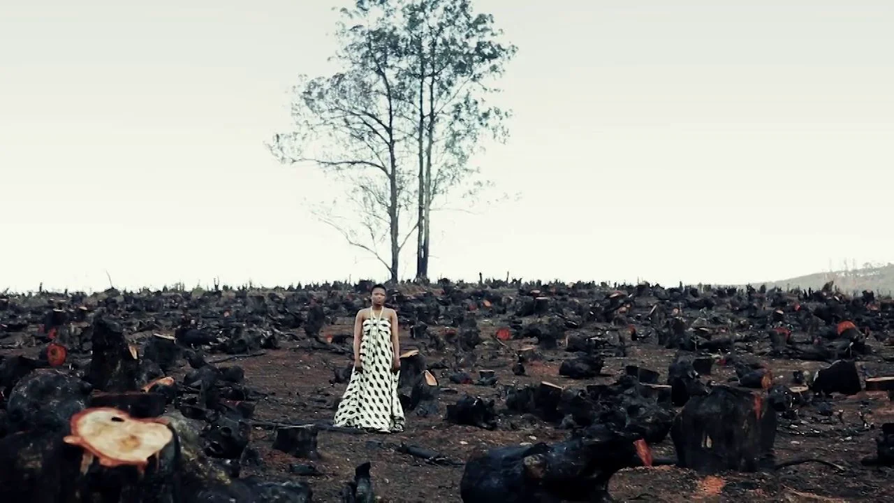 Impepho - Feature Documentary and 3x TV Version