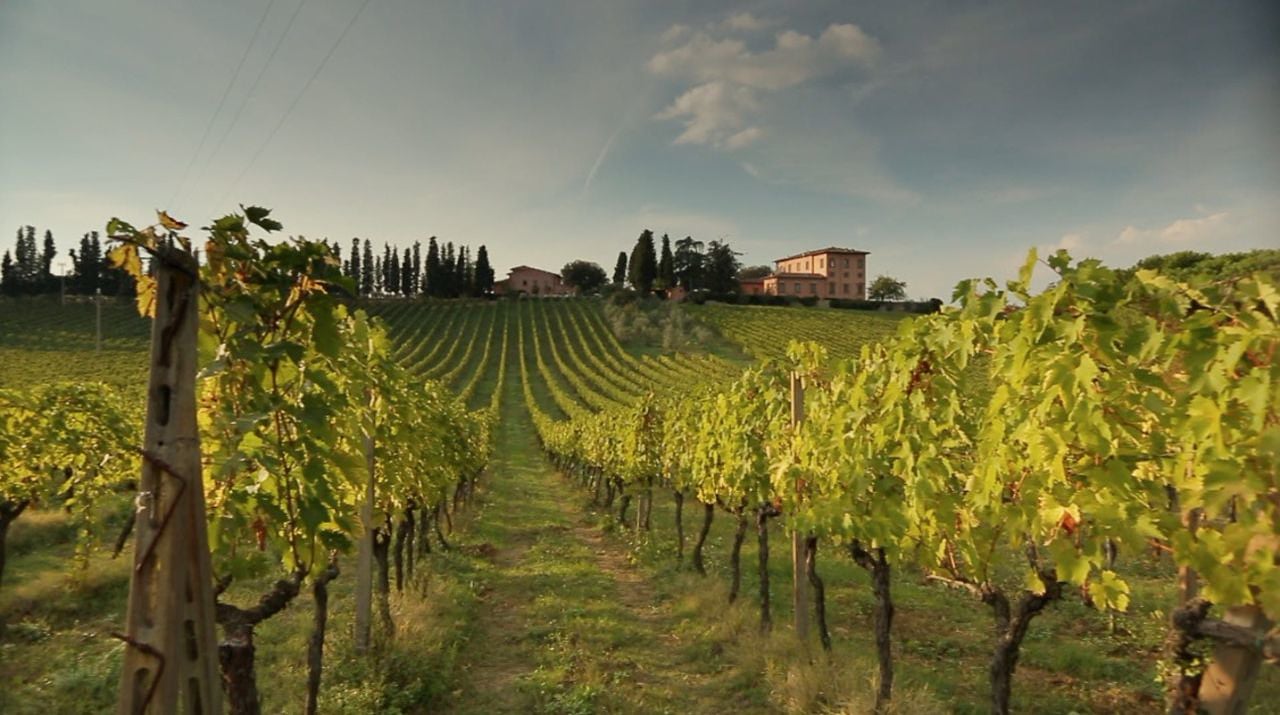 I+S. Wedding in Italy. Film on Vimeo