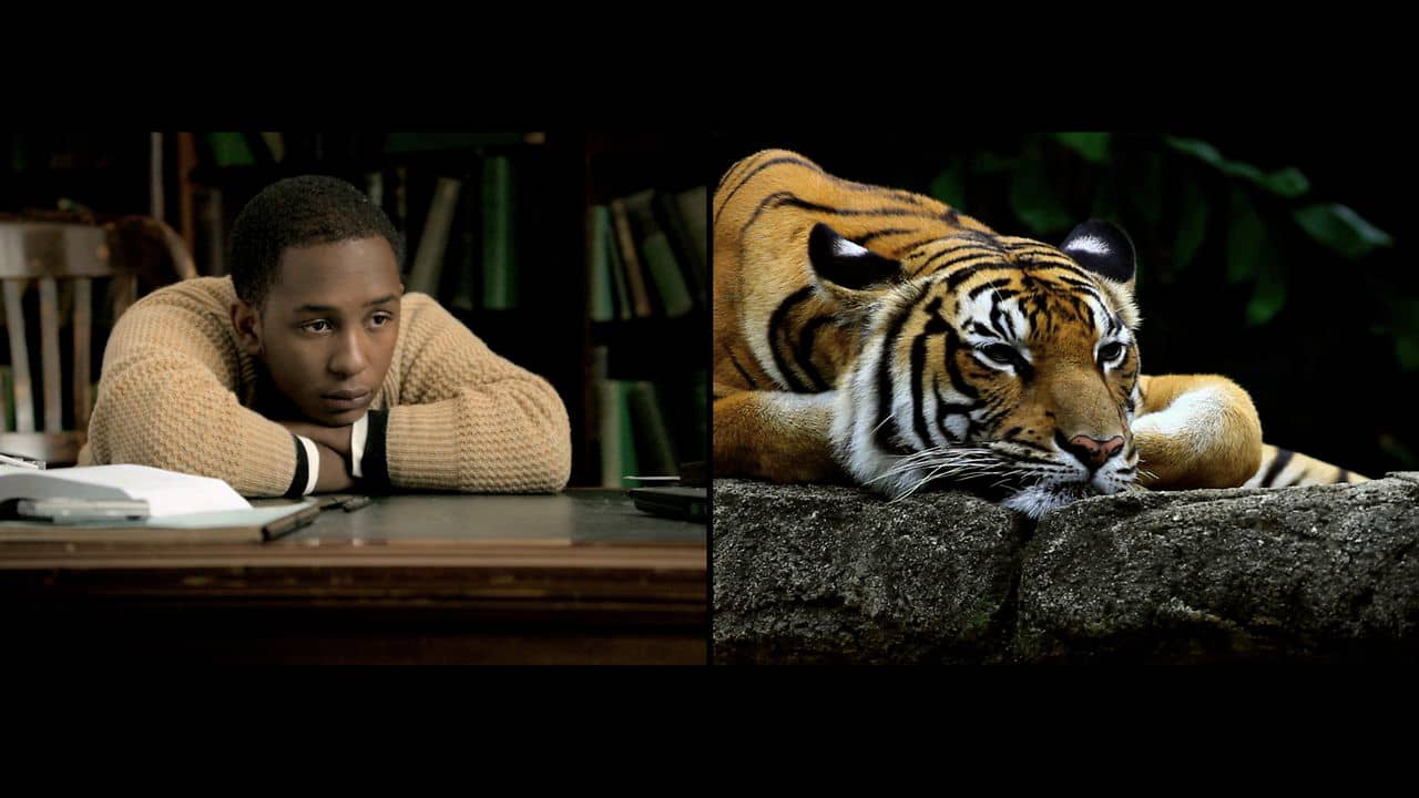 WWF - 40" TV Commercial on Vimeo