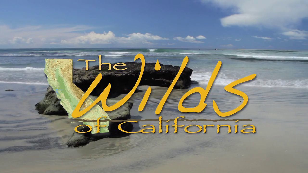 The Wilds of California Project on Vimeo