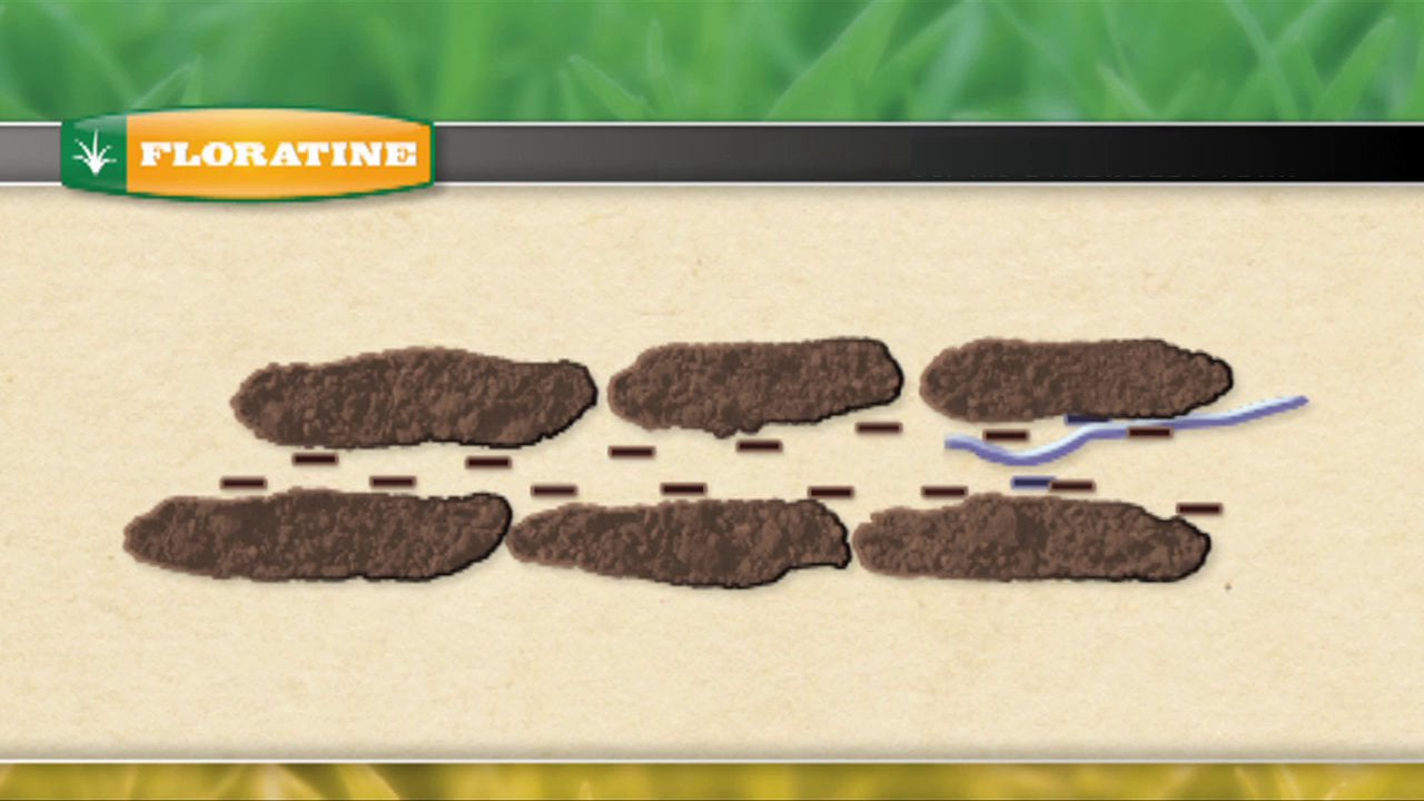 A Scientific Demonstration of Wetting Agents (Presented by Floratine)