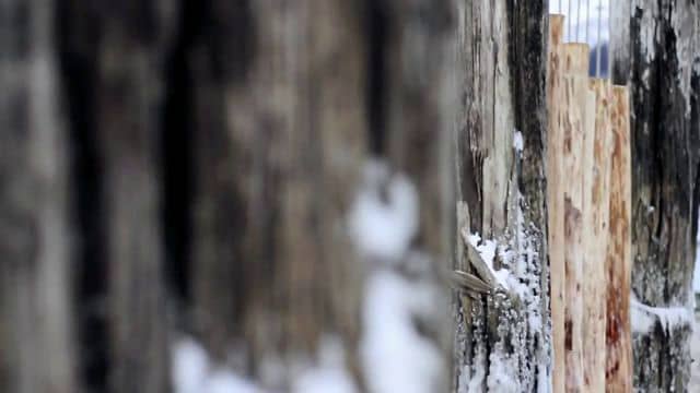 taku wind chimes: an art installation by ryan cortes perez on Vimeo