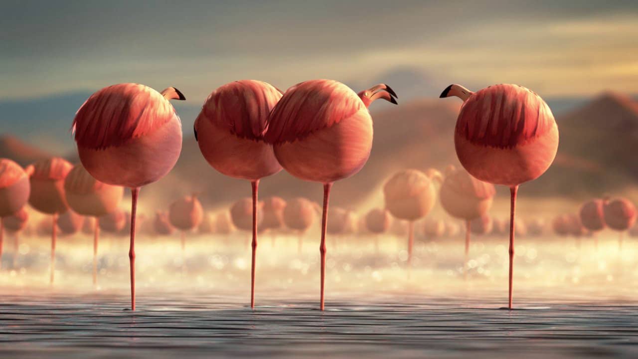 ROLLIN' SAFARI - 'Flamingos' - Official Trailer FMX 2013 on Vimeo