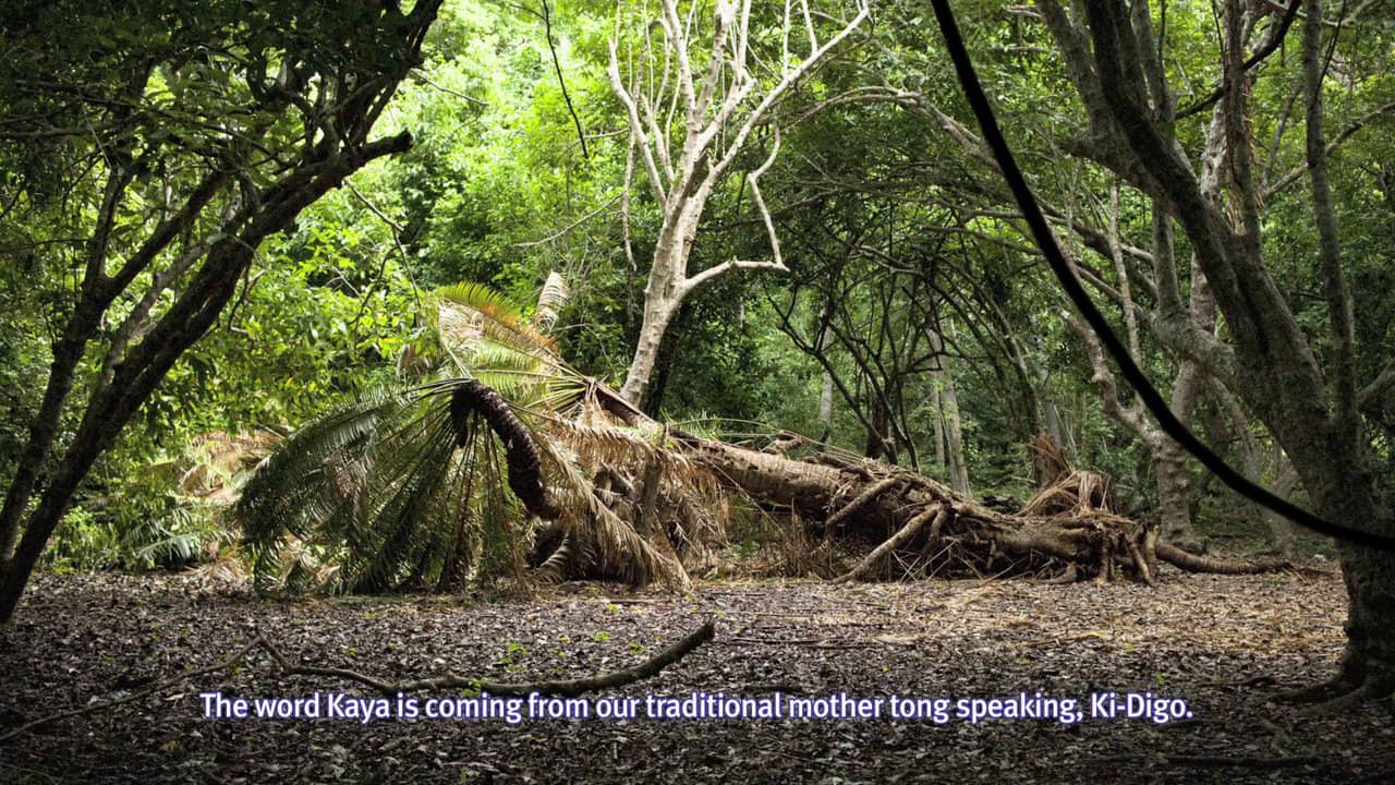 Volunteering for the Mijikendas Sacred Kaya Forest, Kenya on Vimeo