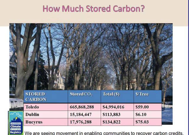 The Economic Benefits of Trees on Vimeo