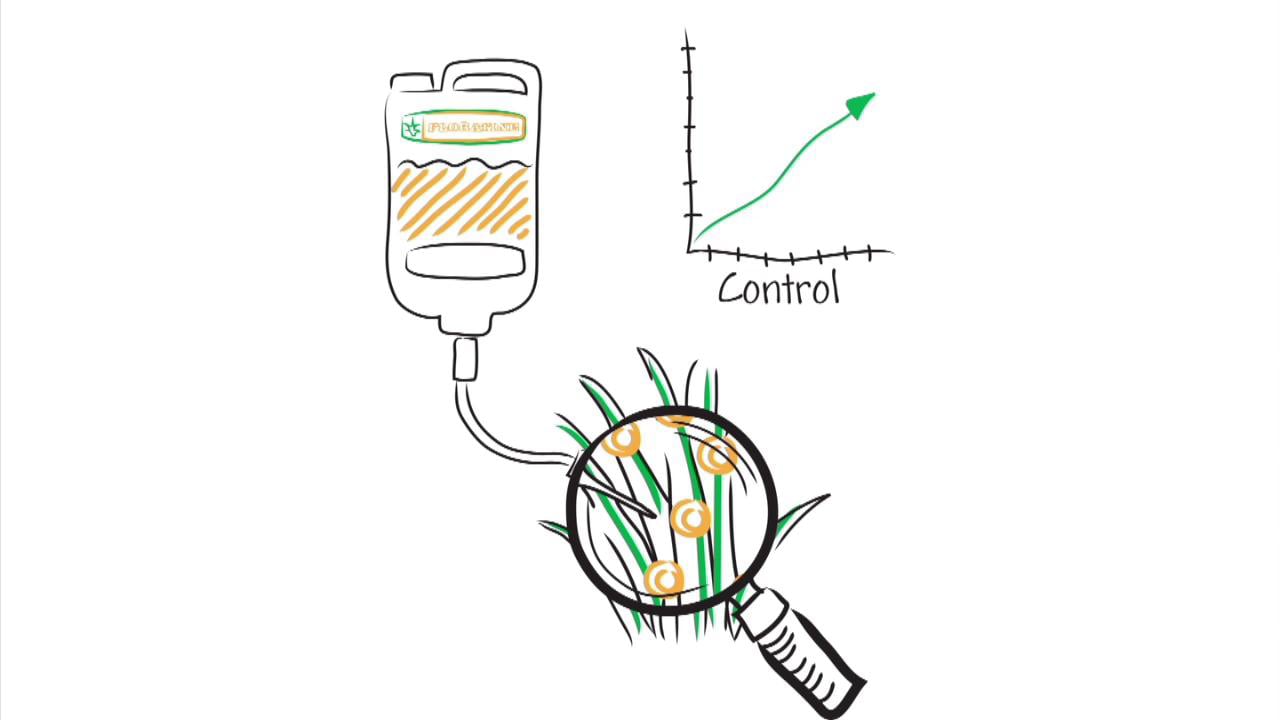 Floratine Science Channel: Demonstration of Foliar Feeding (Presented ...