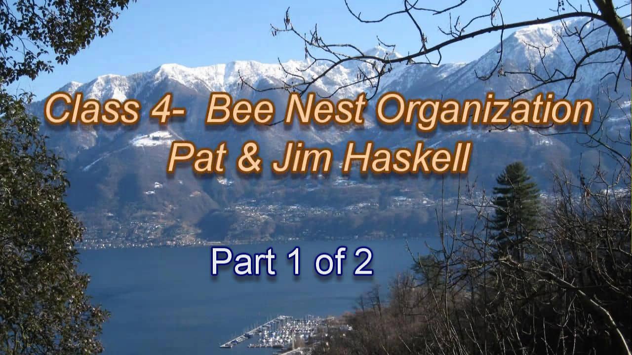 BANV Intermediate Beekeeping- Class 4- Nest Organization (Part 1 of 2 ...