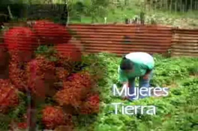 Tirúa, Chile, 8va Region on Vimeo