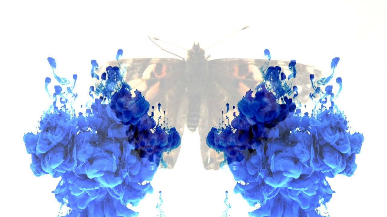 Bassnectar - Butterfly (ft. Mimi Page) on Vimeo