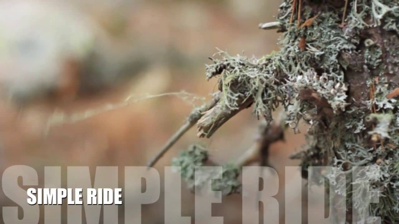 SIMPLE RIDE on Vimeo