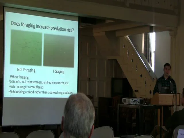 Stuart Munsch on Vimeo