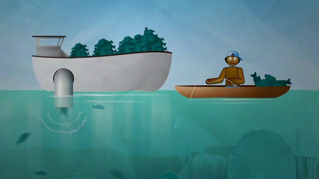 Fish and People - education videos, DVD and lesson plans. on Vimeo