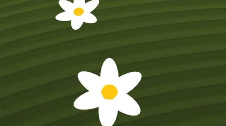 Pbs Kids Dot Transformation Ident