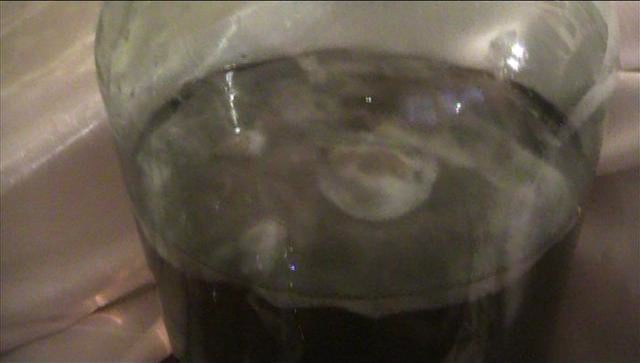 CIUPERCA KOMBUCHA CEAI 0723505937 KEFIR KOMBUCHA VANZARE ORIUNDE IN ...