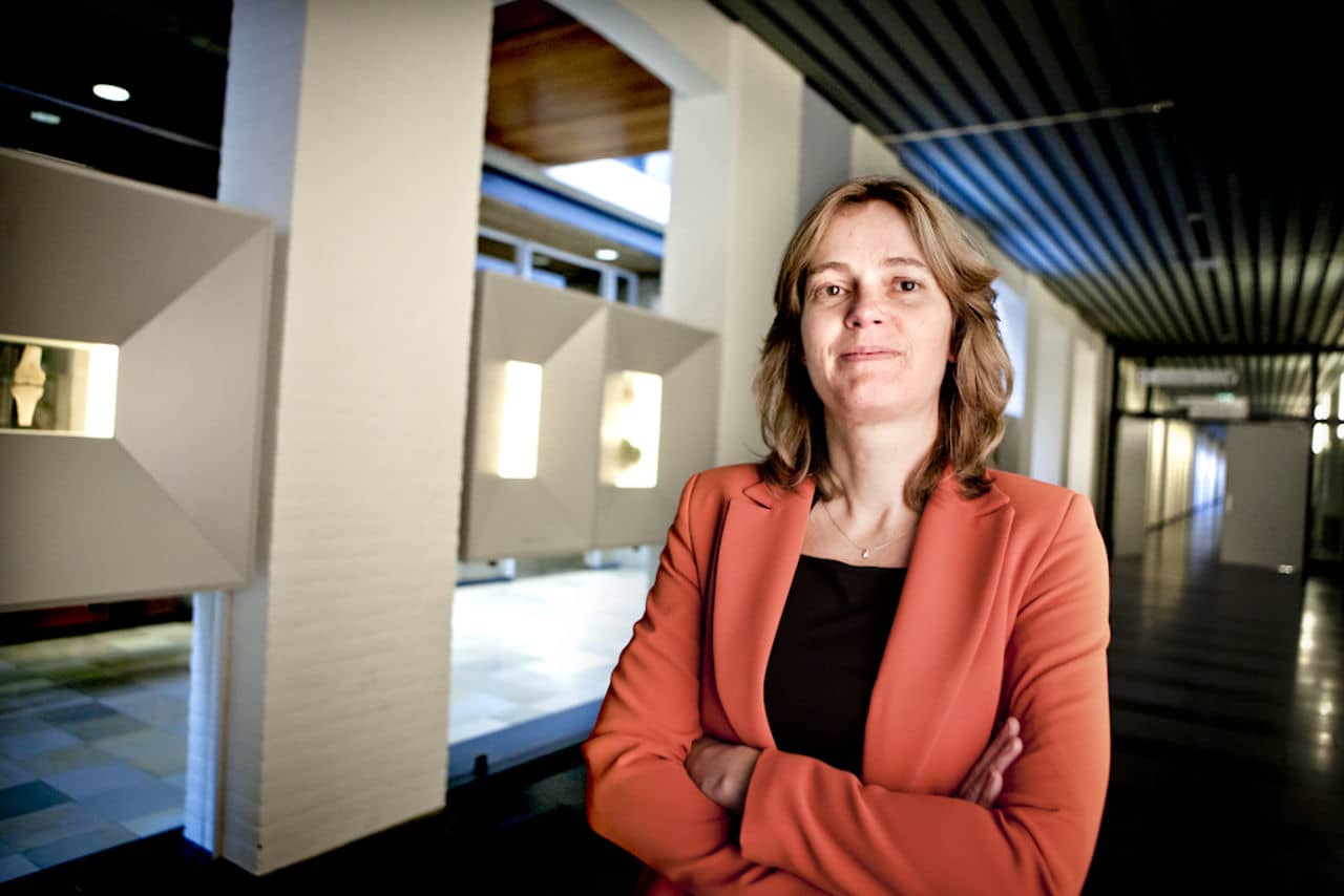 Anja Timmer on Vimeo