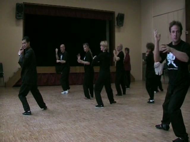 Tai Chi Chuan style Chen Man Ching on Vimeo