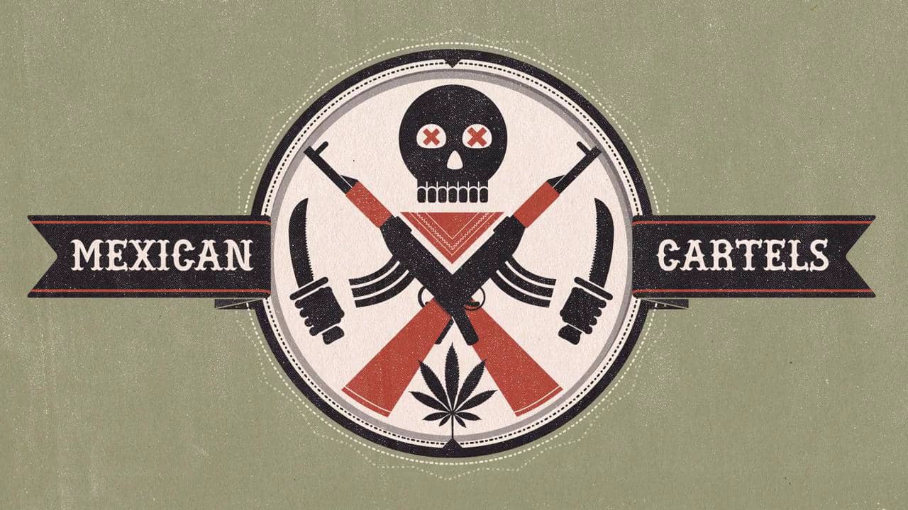 The Violence of Mexican Drug Cartels on Vimeo