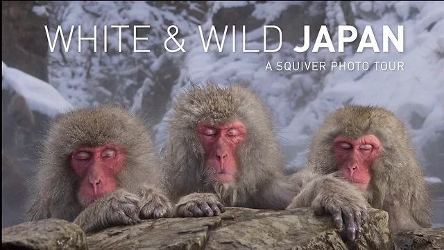 White & Wild Japan on Vimeo