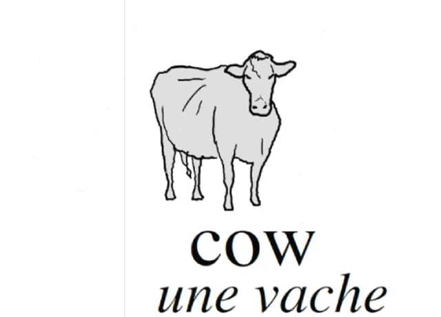 French Animal Sounds (French - It's Easy!) on Vimeo