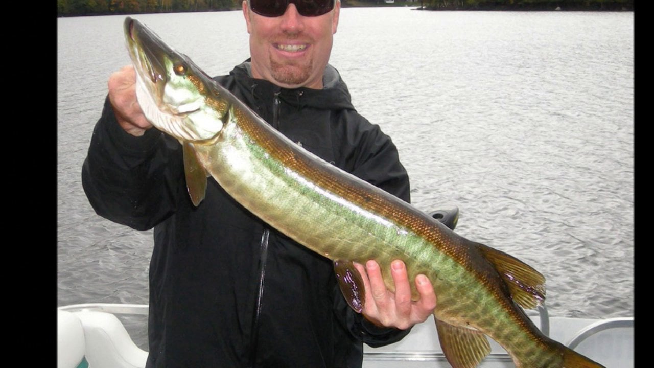 fishing hd on Vimeo