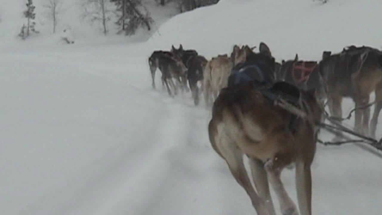 North of the 63rd parallel on Vimeo