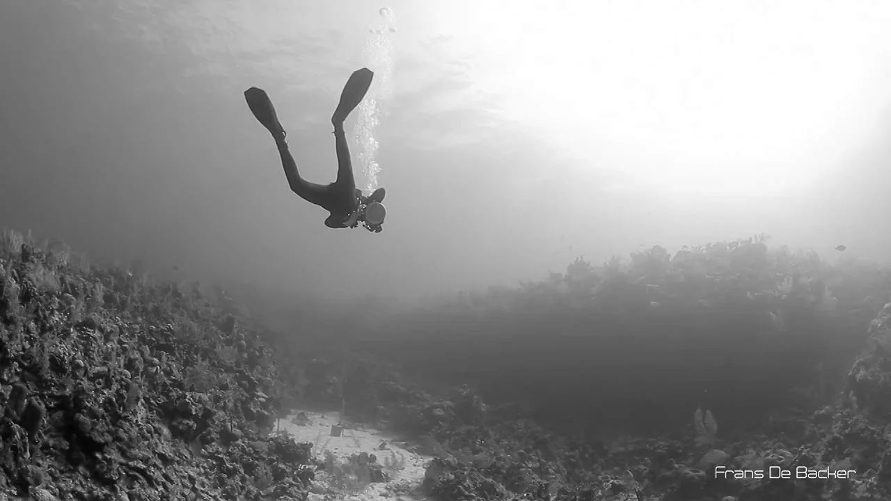 Sidemount diving Single tank on Vimeo