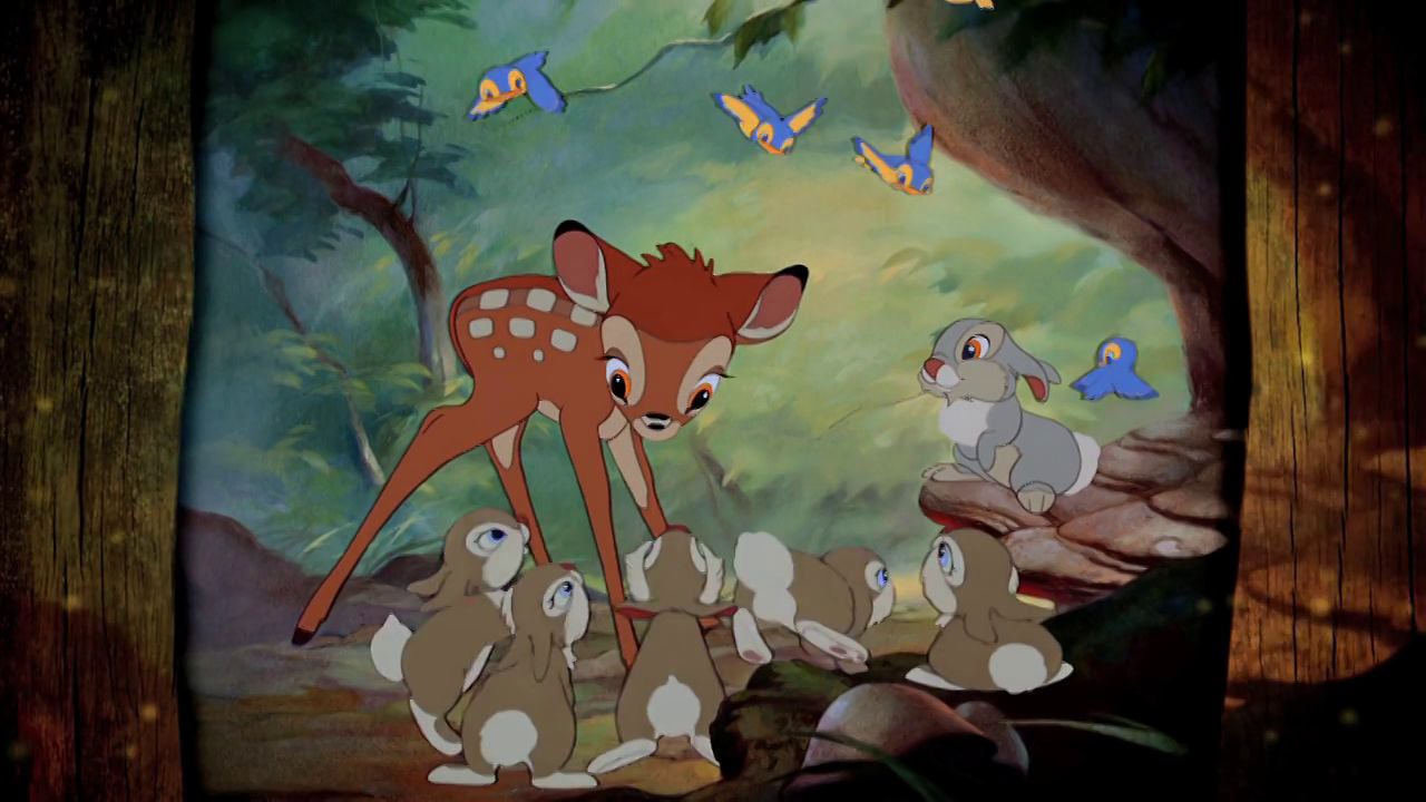 Bambi on Vimeo