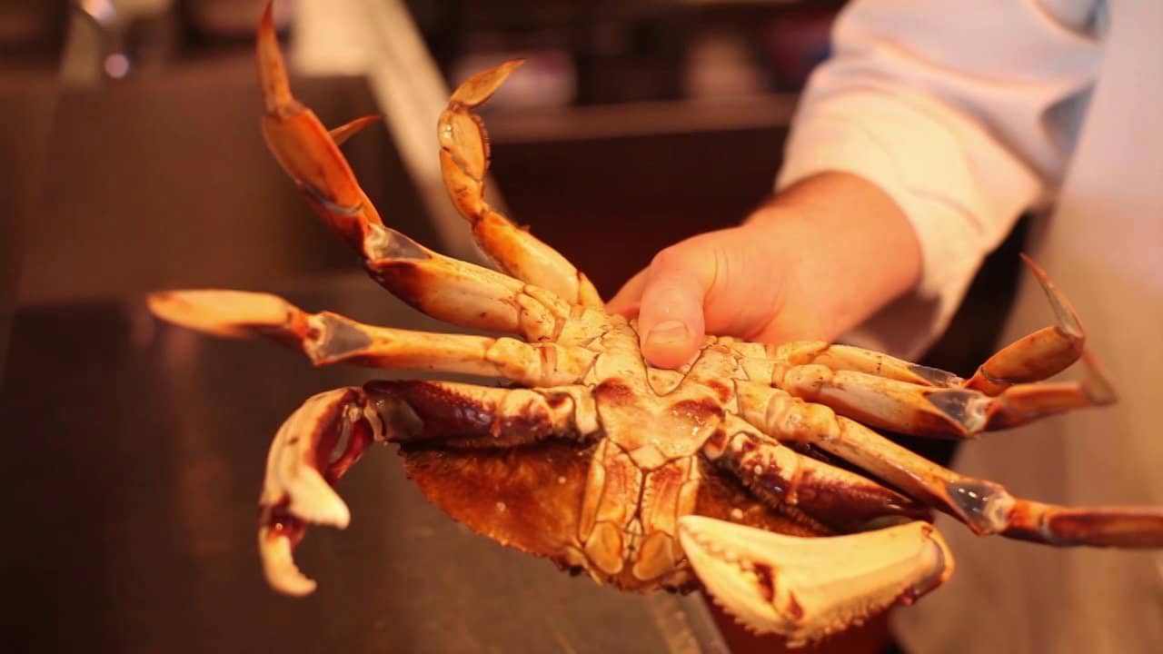 How to Crack a Crab on Vimeo