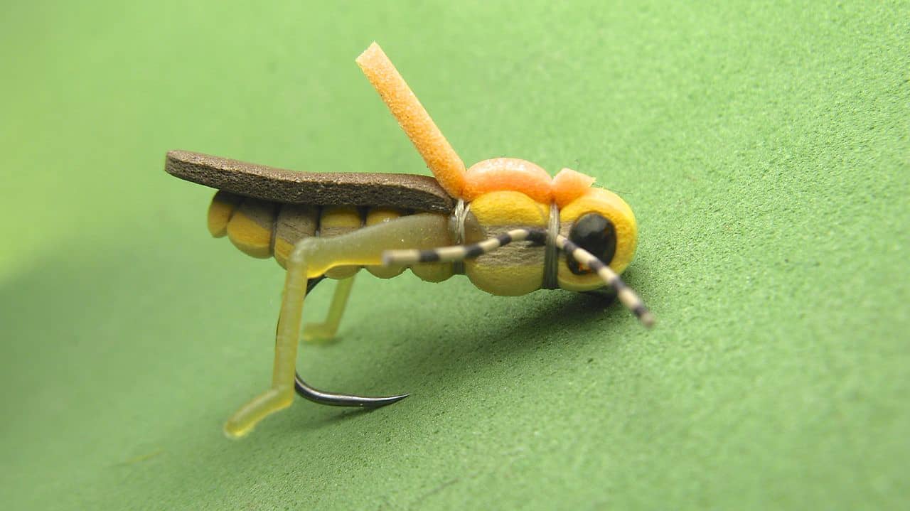 The Lil' Hollywood Hopper on Vimeo