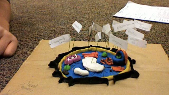 Play-Doh Parts of a Cell on Vimeo