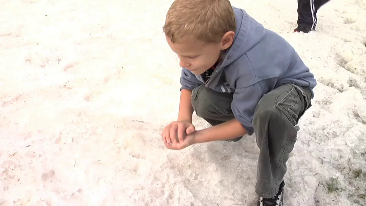 Snow At Cross Bayou Elementary on Vimeo