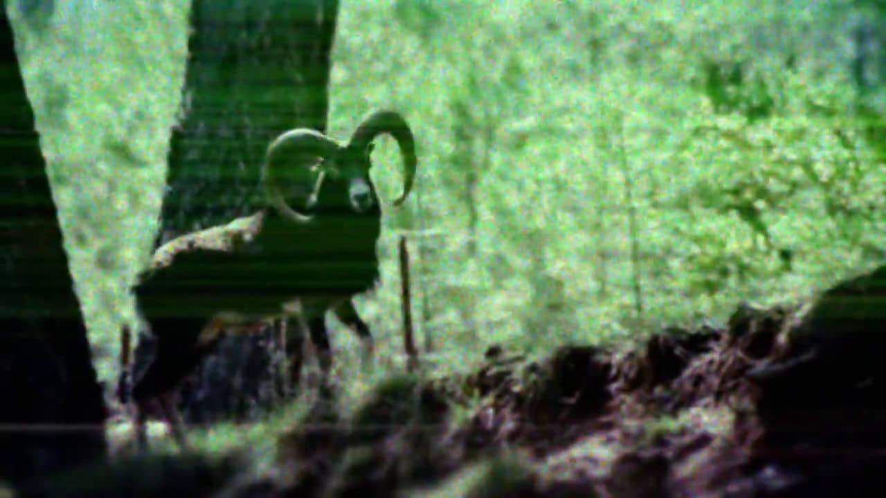 COUNTRY - Run on Vimeo