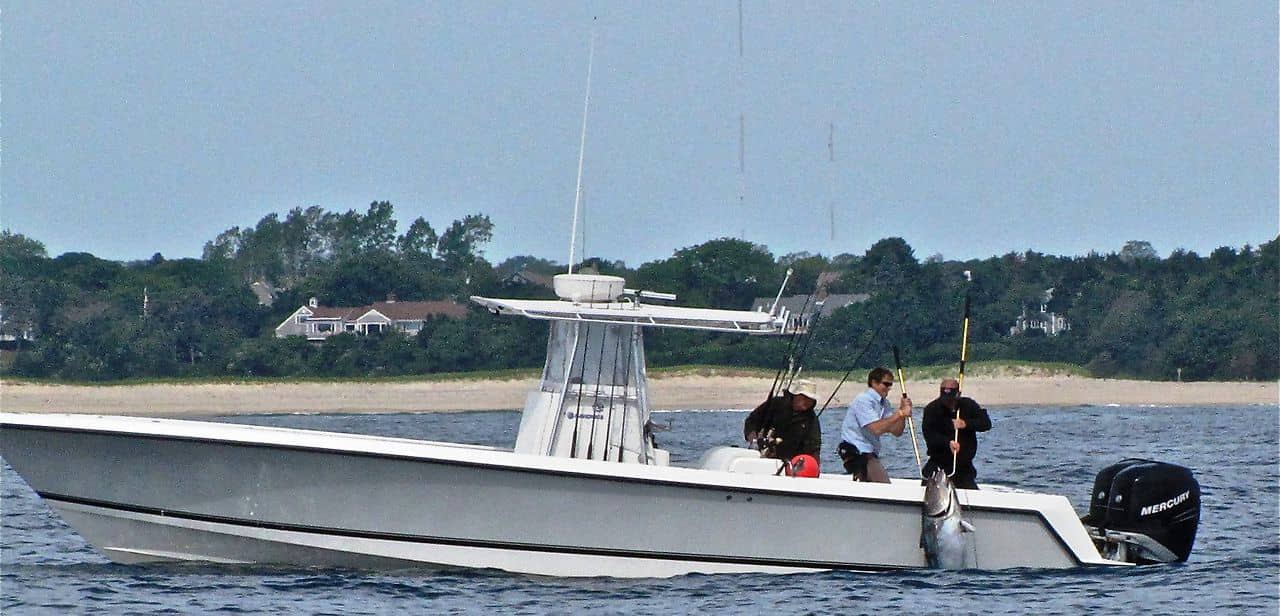 The "Riptide" Contender 33T on Vimeo