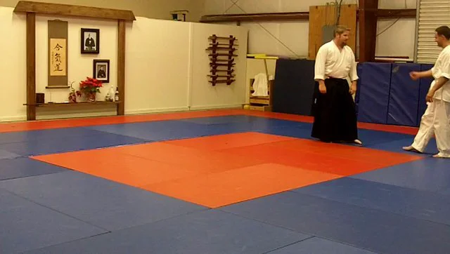 Frankie Zucallo AIKIDO 6th kyu 12 2012