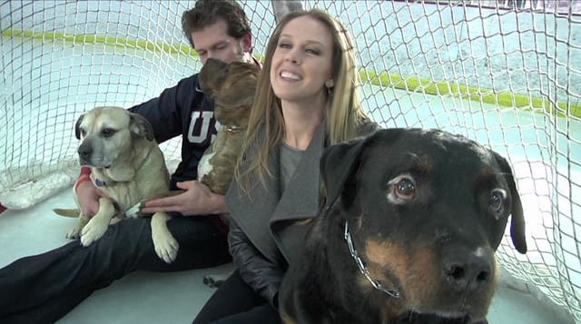 David and Kelly Backes Speak Up for Minnesota Dogs and Cats on Vimeo